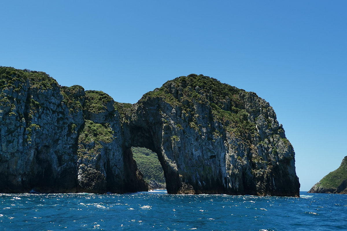 Diving the Poor Knights Islands